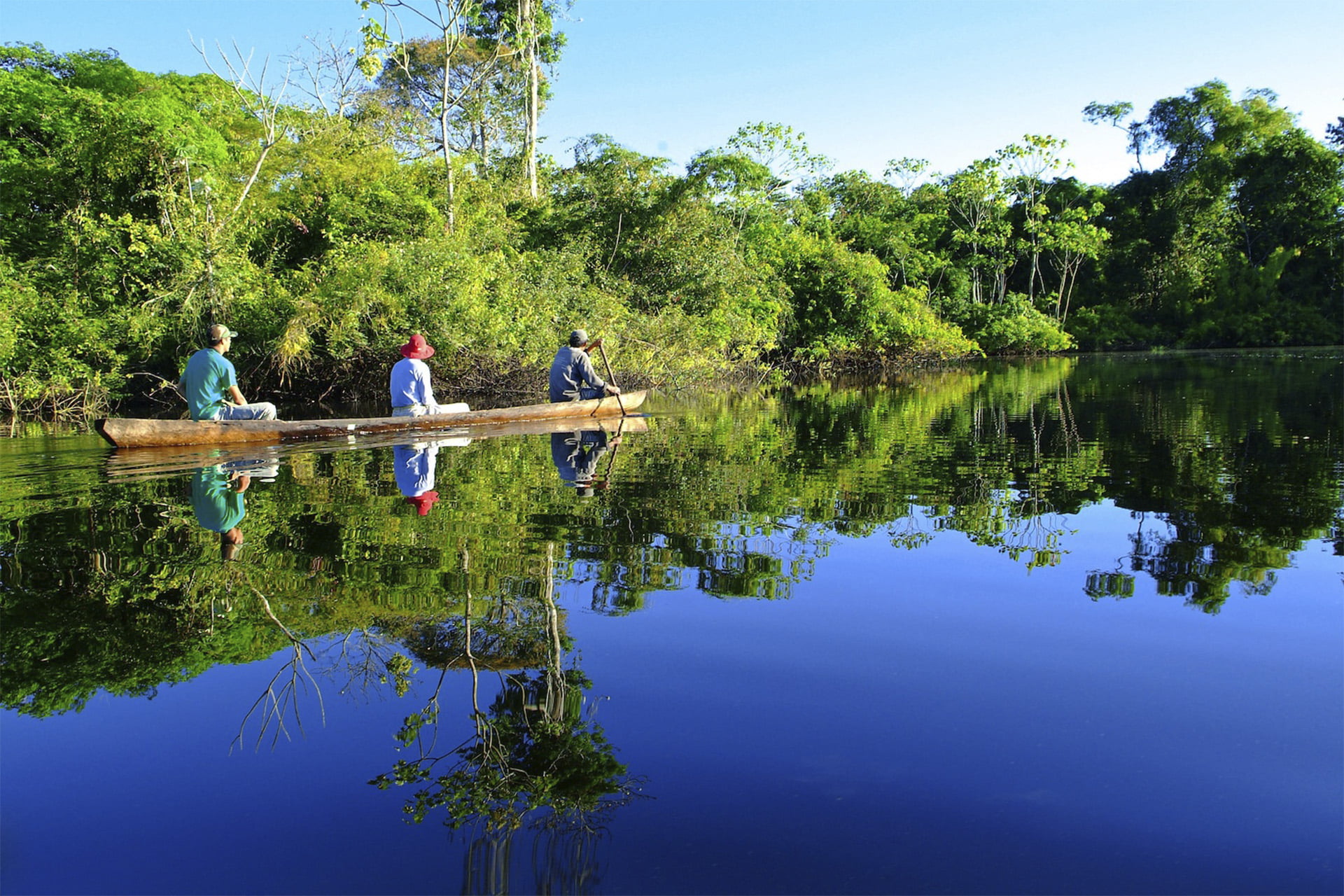 Explorando la biodiversidad de Pacaya Samiria: Una reserva natural en ...