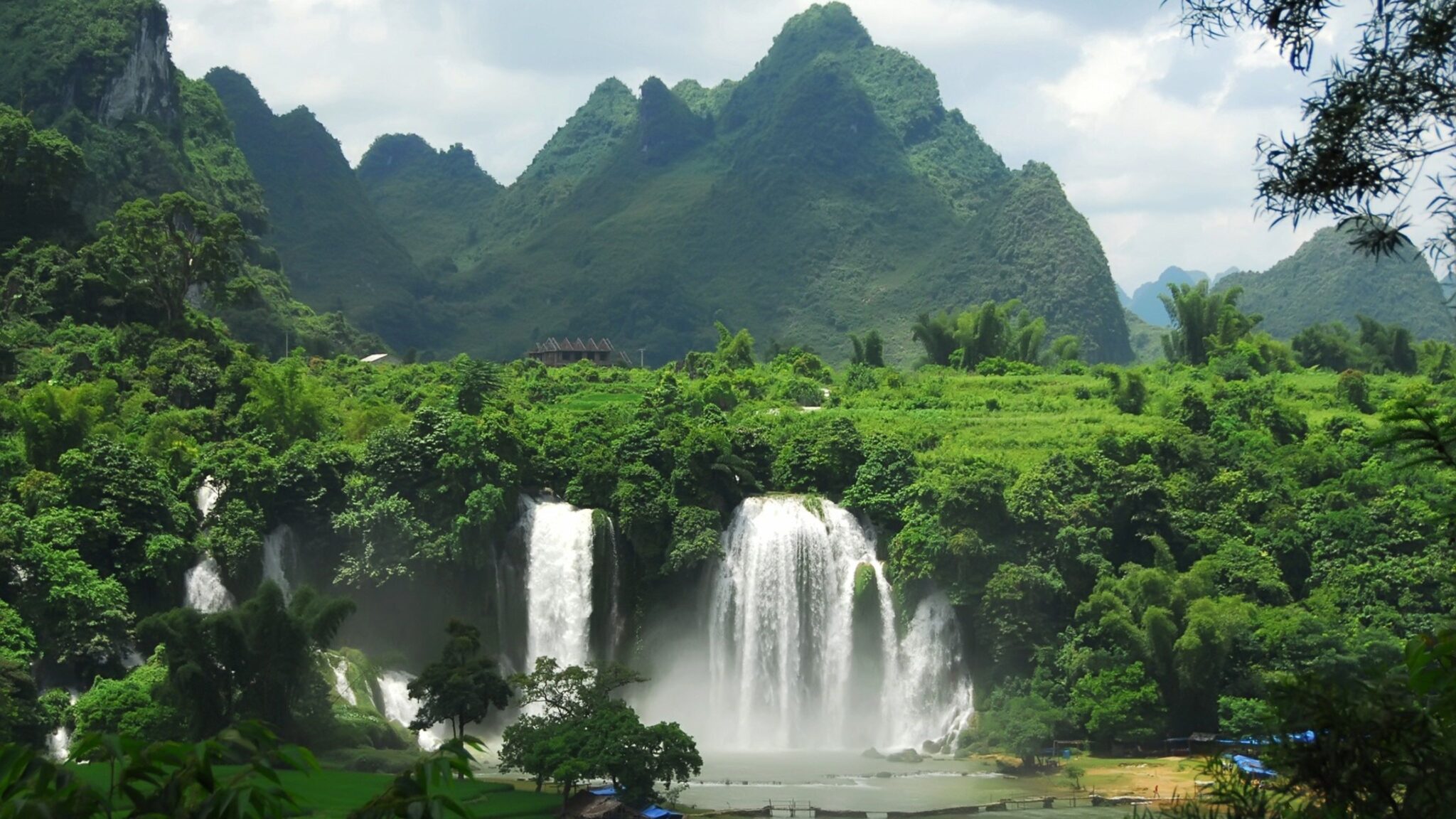 La Selva – Perú Travel: Tu Guía de Viajes